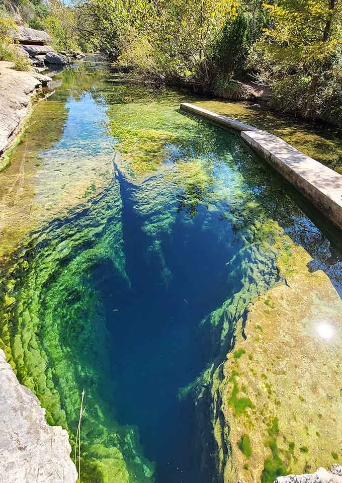 The spring's clarity makes you wonder if someone installed the world's most beautiful infinity pool in the Hill Country.