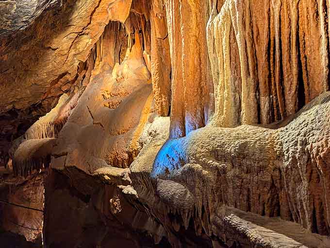 Bacon formations drape the walls in amber waves, proving Mother Nature has a sense of humor about breakfast.