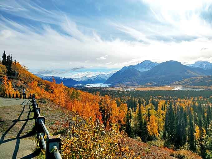 Fall's golden touch transforms the Glenn Highway viewpoint into nature's own IMAX theater, with Matanuska Valley spreading out like a painter's masterpiece.