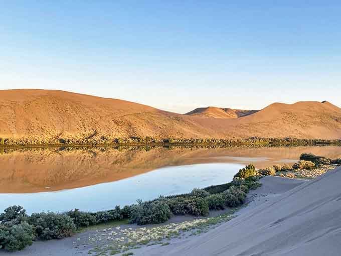 Golden hour transforms Bruneau's dunes into a mirror-like spectacle, with perfect reflections doubling the beauty of this Idaho desert oasis.