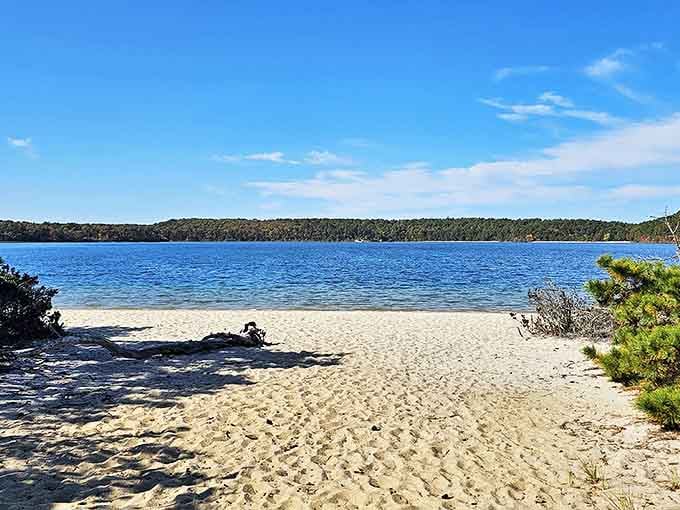 Nature's perfect beach day setup: pristine sand, refreshing blue waters, and not a tourist trap in sight. Pure Massachusetts magic.