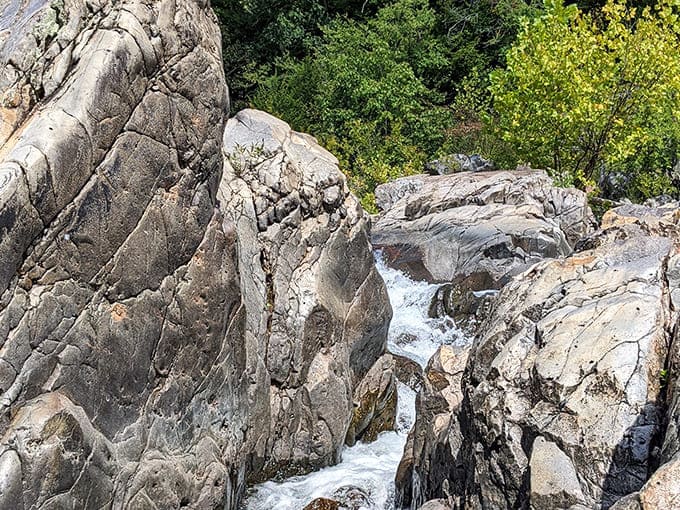 Billion-year-old rhyolite rocks channel crystal-clear water through nature's perfect water slide, creating Missouri's most spectacular natural playground.