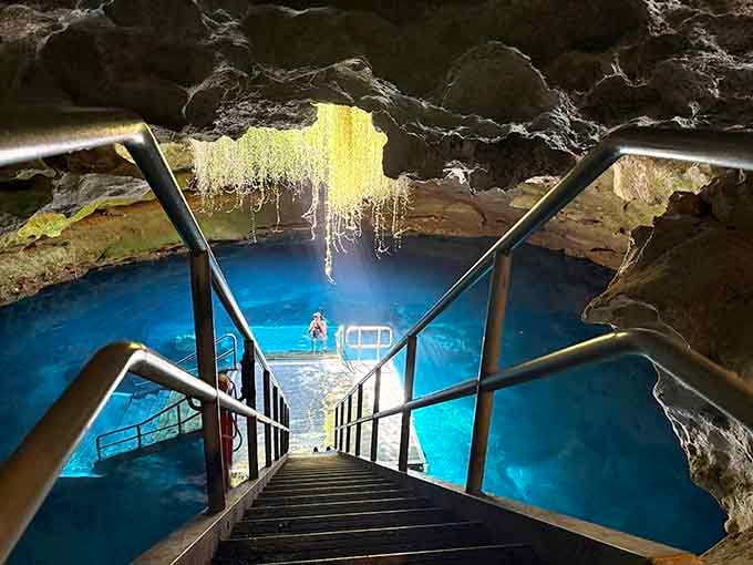 That impossibly blue water glowing beneath ancient rock formations isn't Photoshop, it's just Florida showing off its prehistoric side.