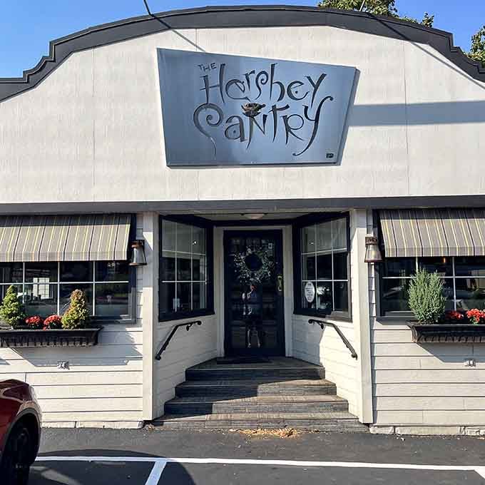 Those window boxes aren't just for show; they're proof someone here actually cares about making your morning special.