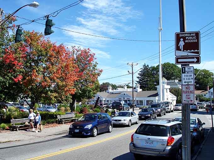 Fall foliage frames the streets perfectly, proving nature knows exactly what it's doing around here.