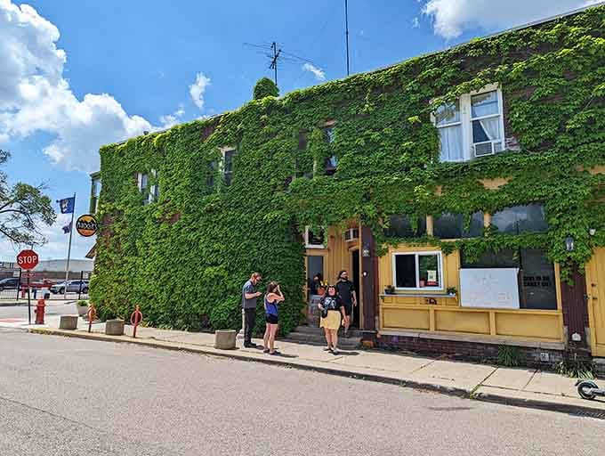 That ivy-covered facade isn't just pretty; it's nature's way of saying "trust me, magic happens here."