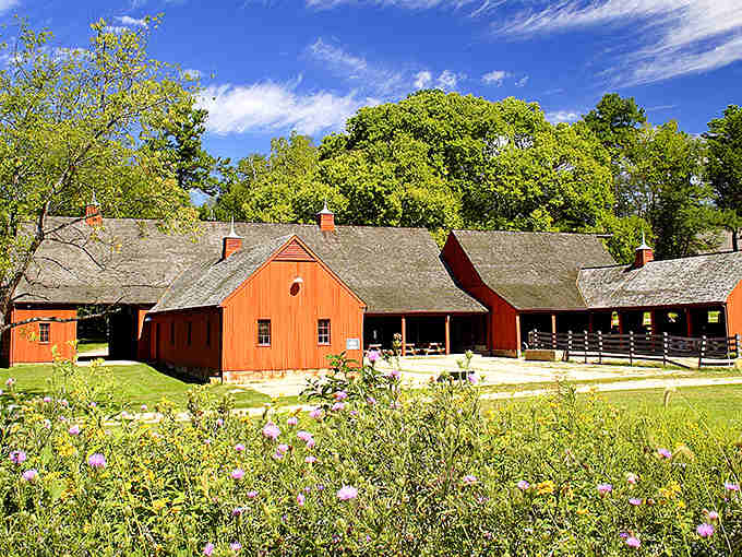 Those barns against wildflowers look like someone's idealized painting of rural Maryland come to life.