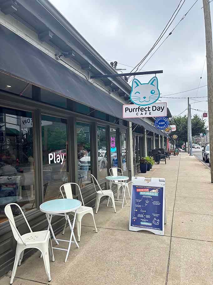 Those windows marked "Play" and "Sip" tell you everything you need to know about this place's priorities – and they're spot-on.