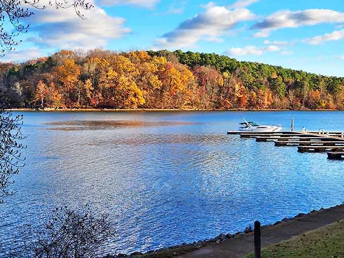 Fall's fiery palette transforms Wheeler Lake into a masterpiece. These autumn colors make even the most dedicated indoor person want to grab a kayak.