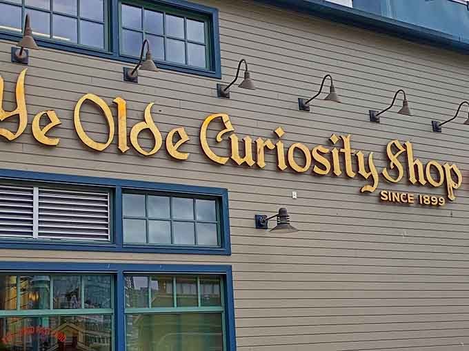 That golden lettering gleaming against weathered wood promises adventures that defy explanation inside.