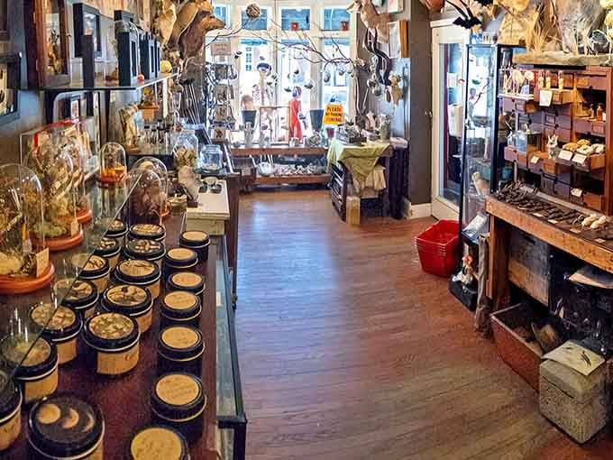 Step inside and suddenly you're in a cabinet of curiosities where every aisle promises something you've definitely never seen before.