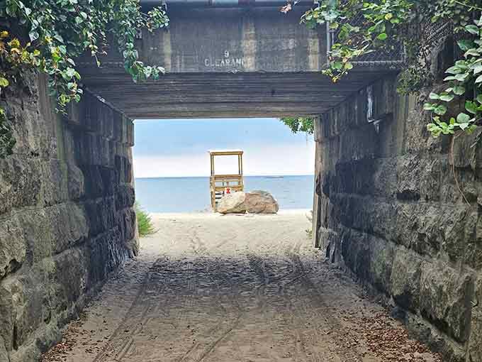 That tunnel view framing the beach is like nature's own picture frame, complete with lifeguard stand cameo.