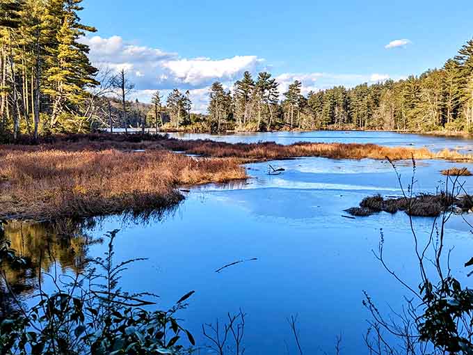Bigelow Hollow State Park feels peacefully tucked away, glassy water and quiet woods inviting unhurried walks and deep breaths.