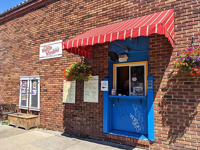 That cheerful blue window against red brick is your portal to waffle paradise, complete with hanging flowers.