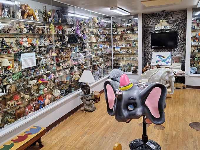 Endless shelves of elephant figurines line the walls, filling the space with wonder and a bit of magic.