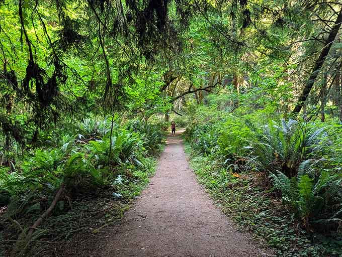 Ancient trails wind through forests so lush, you'll half expect a hobbit to pop out and offer you second breakfast.