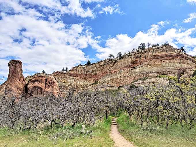 Those towering red rock fins rising through scrub oak create a landscape that belongs on another planet entirely.