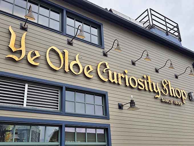 That golden lettering gleaming against weathered wood promises adventures that defy explanation inside.