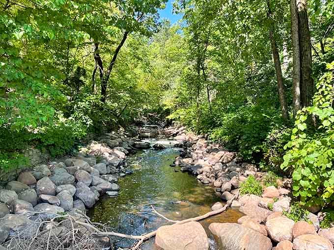 The creek meanders through sun-dappled woods like nature's own meditation path, inviting you to slow down and breathe.