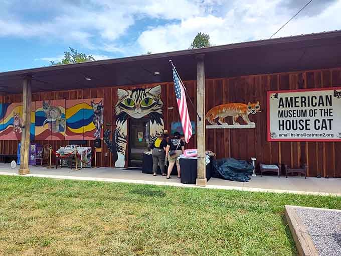 Those rocking chairs outside are perfect for contemplating whether you've finally found your people or lost your mind.