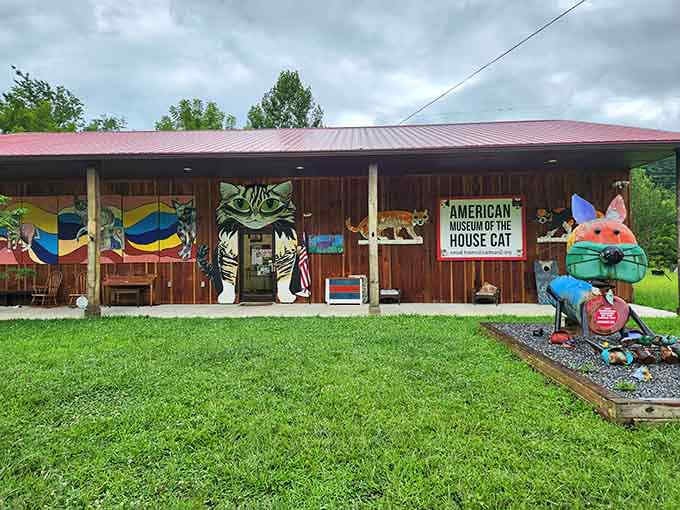 The pink roof and whimsical murals make this the most cheerfully bizarre building in western North Carolina.