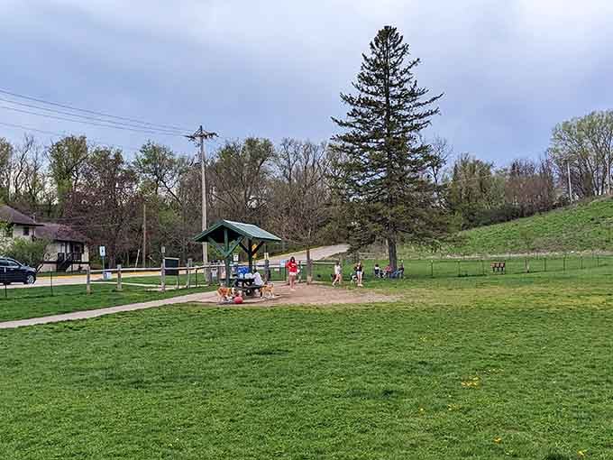 Liston Dog Park provides green space where four-legged residents can socialize while their humans swap local gossip and weather predictions.