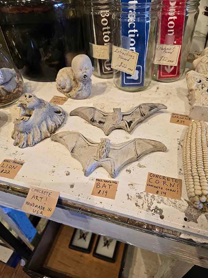 Handmade concrete art pieces including bat bones, proving that home decor can be both educational and conversation-starting.