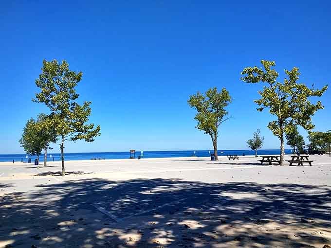 Beach perfection with a Midwest twist! Picnic tables nestled among young trees create the ideal spot for lunch with a spectacular view.