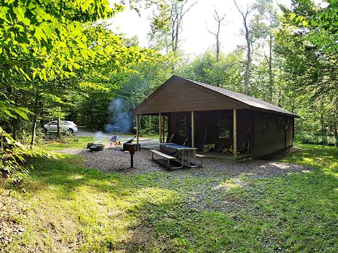 Modern cabins blend rustic charm with actual roofs, perfect for campers who appreciate nature and functional shelter equally.