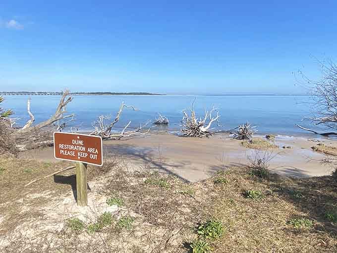 Dune restoration areas prove that even paradise needs a little help maintaining its mysterious charm.