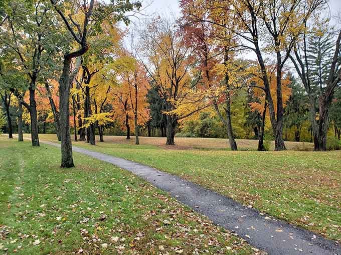 Szot Park in autumn becomes a masterclass in why people write poetry about fall foliage.