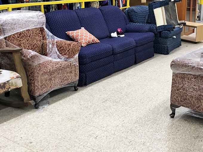 Couches with plenty of life left in them, just waiting to anchor your living room without anchoring your budget.