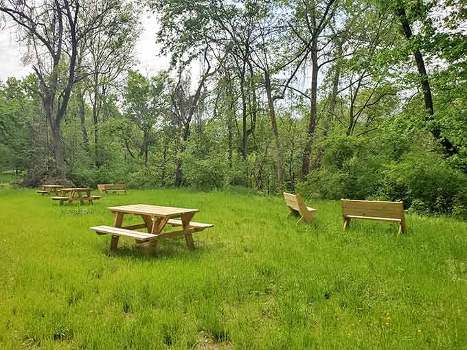 Picnic tables waiting for your potluck contribution. In Eden, "social networking" still involves actual potato salad and face-to-face conversations.