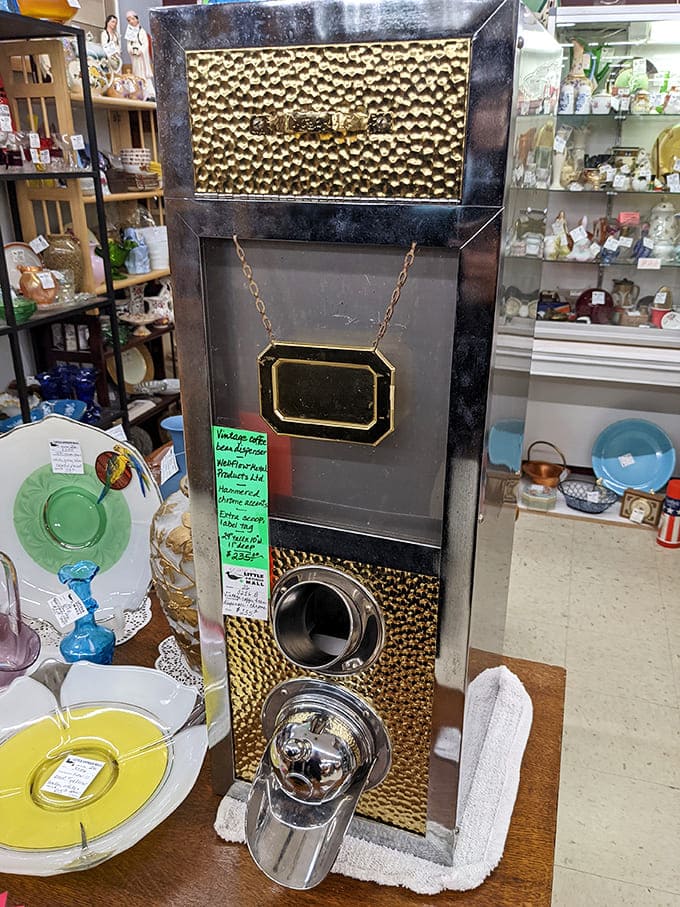 That vintage coffee dispenser flanked by wooden waterfowl is the conversation piece your kitchen counter didn't know it needed. Mid-century functionality meets quirky charm.