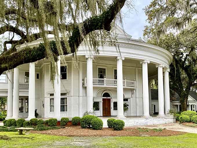 Southern grandeur personified: This magnificent white-columned mansion draped in Spanish moss embodies the architectural elegance that defines historic Georgia homes.