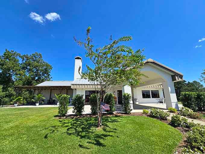 Dramatic clouds and green space like nature's own cathedral, reminding us who's really in charge of the weather forecast.