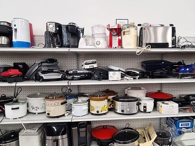 Small appliances stand ready to brew, blend, and toast their way back into usefulness and purpose.