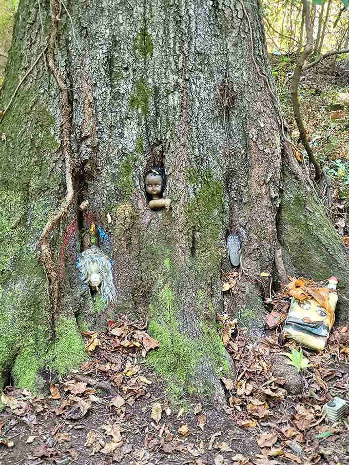 Tree trunks become display cases, showcasing how nature and nostalgia merge in the most unexpected ways possible.