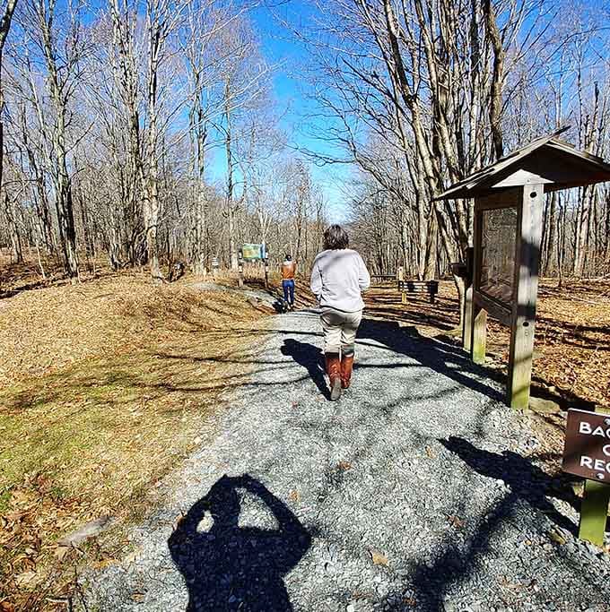 Even in winter's bare bones, the park welcomes visitors ready to explore its frozen beauty.