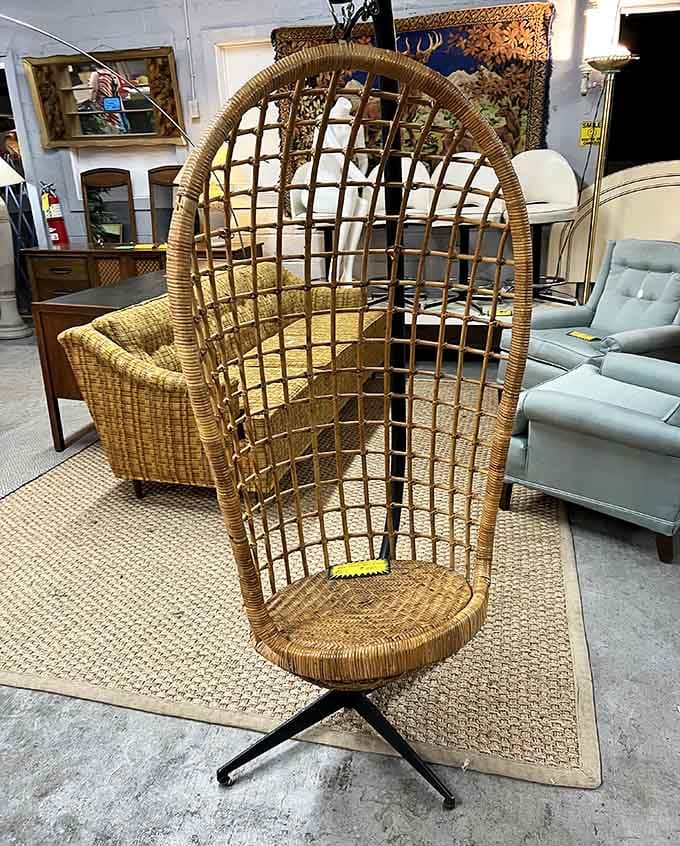 That wicker hanging chair screams 1970s conversation pit vibes, perfect for contemplating life's mysteries or just reading magazines.