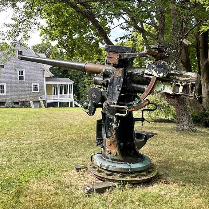 This vintage naval gun reminds visitors that Fort Revere once meant serious business, back when defending harbors required actual firepower and courage.