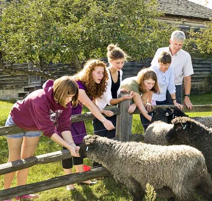 Hands-on animal experiences teach kids that wool comes from sheep, not Amazon Prime, which blows their minds.