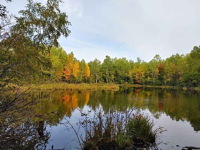 Autumn colors reflect perfectly in still water, creating the kind of postcard moment retirees dream about during their morning walks.