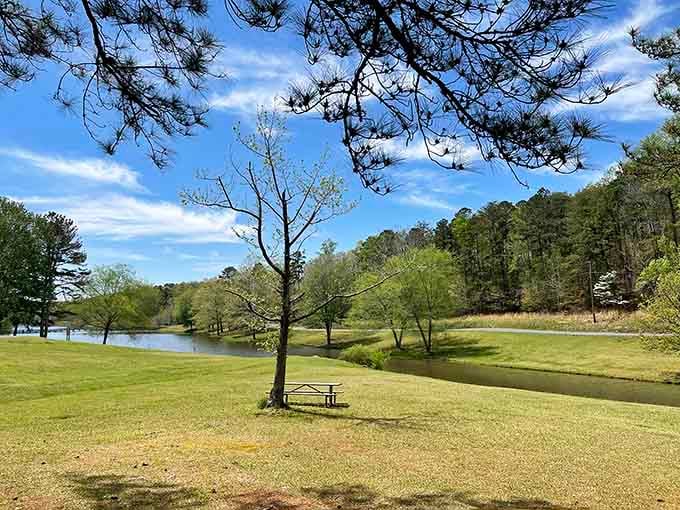 A lakeside picnic table under a lone pine tree, basically nature's version of a corner office view.