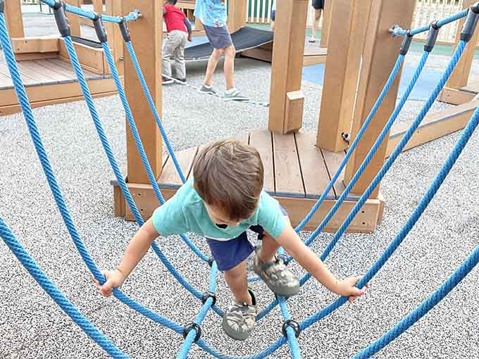Rope climbing structures challenge kids to test their limits while building confidence and seriously impressive upper body strength.
