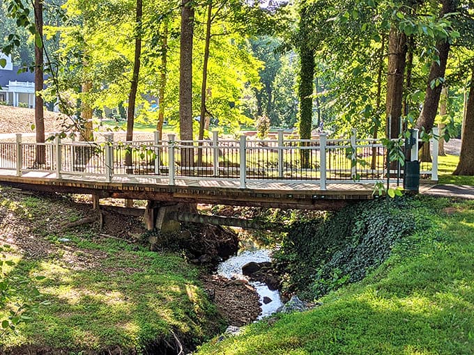 Kiwanis Park's wooden footbridge crosses a gentle stream, offering a moment of serenity that no meditation app can match.