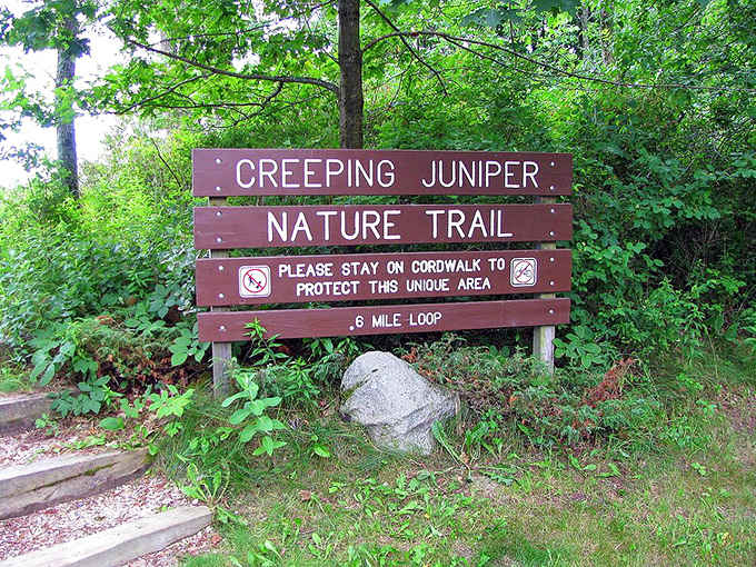 The Creeping Juniper Trail promises adventure through unique terrain that'll make you forget you're still in Wisconsin.
