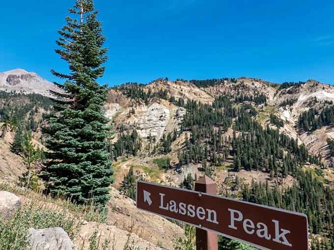 The trail sign points upward, as if there was any doubt about which direction involves the most suffering.