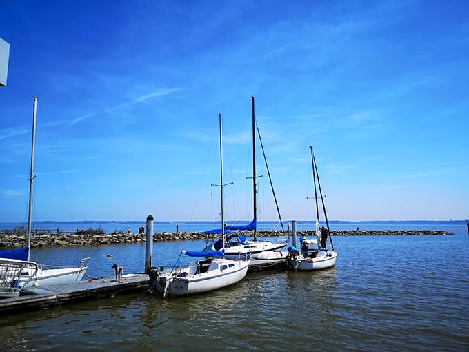 Where weekend captains dock their dreams. The marina provides safe harbor for sailboats and the perfect launching point for Potomac adventures.