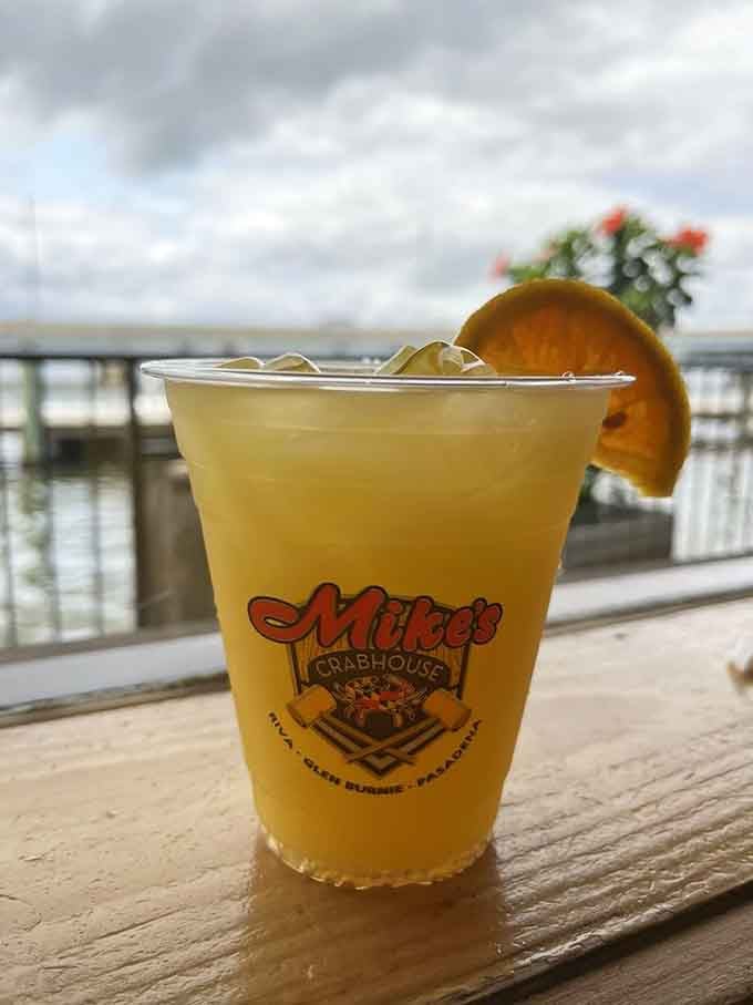 Orange Crush in a branded cup with a water view, because sometimes happiness really is just that simple and unpretentious, folks.